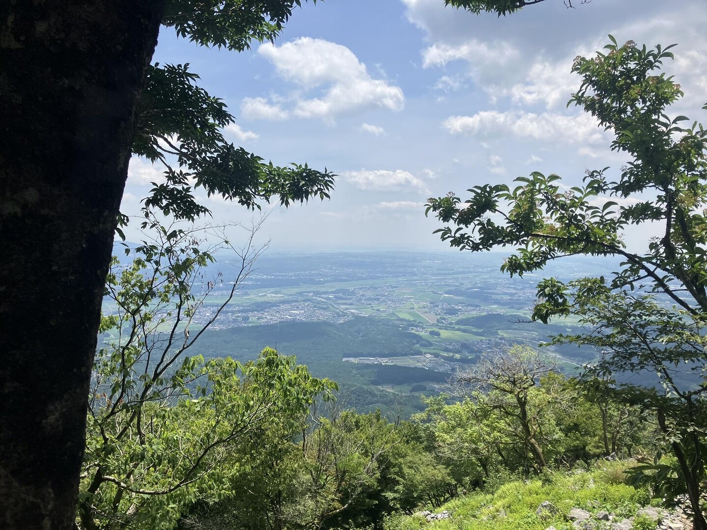 丸山 / Yossyさんの藤原岳・御池岳の活動データ | YAMAP / ヤマップ