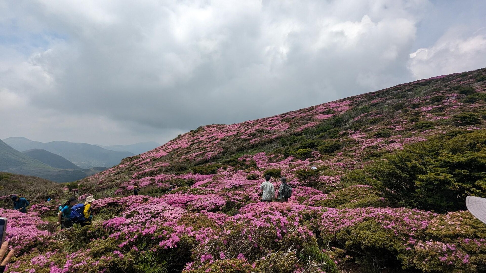 平治岳🌸 / 5959さんの祖母山の活動データ | YAMAP / ヤマップ