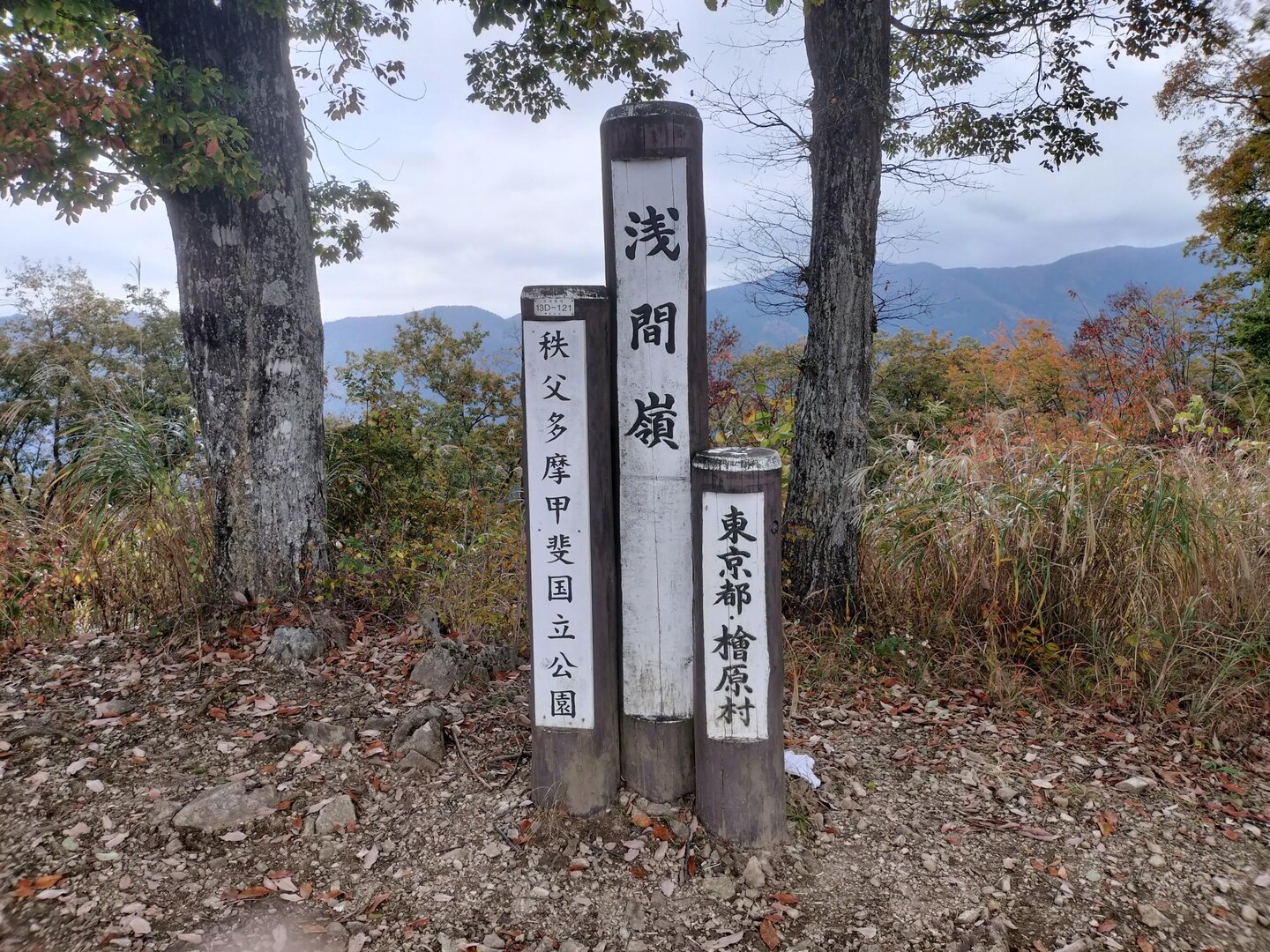 浅間嶺（都民の森BS〜払沢の滝BS） / ヤスさんの浅間嶺・松生山の活動データ | YAMAP / ヤマップ