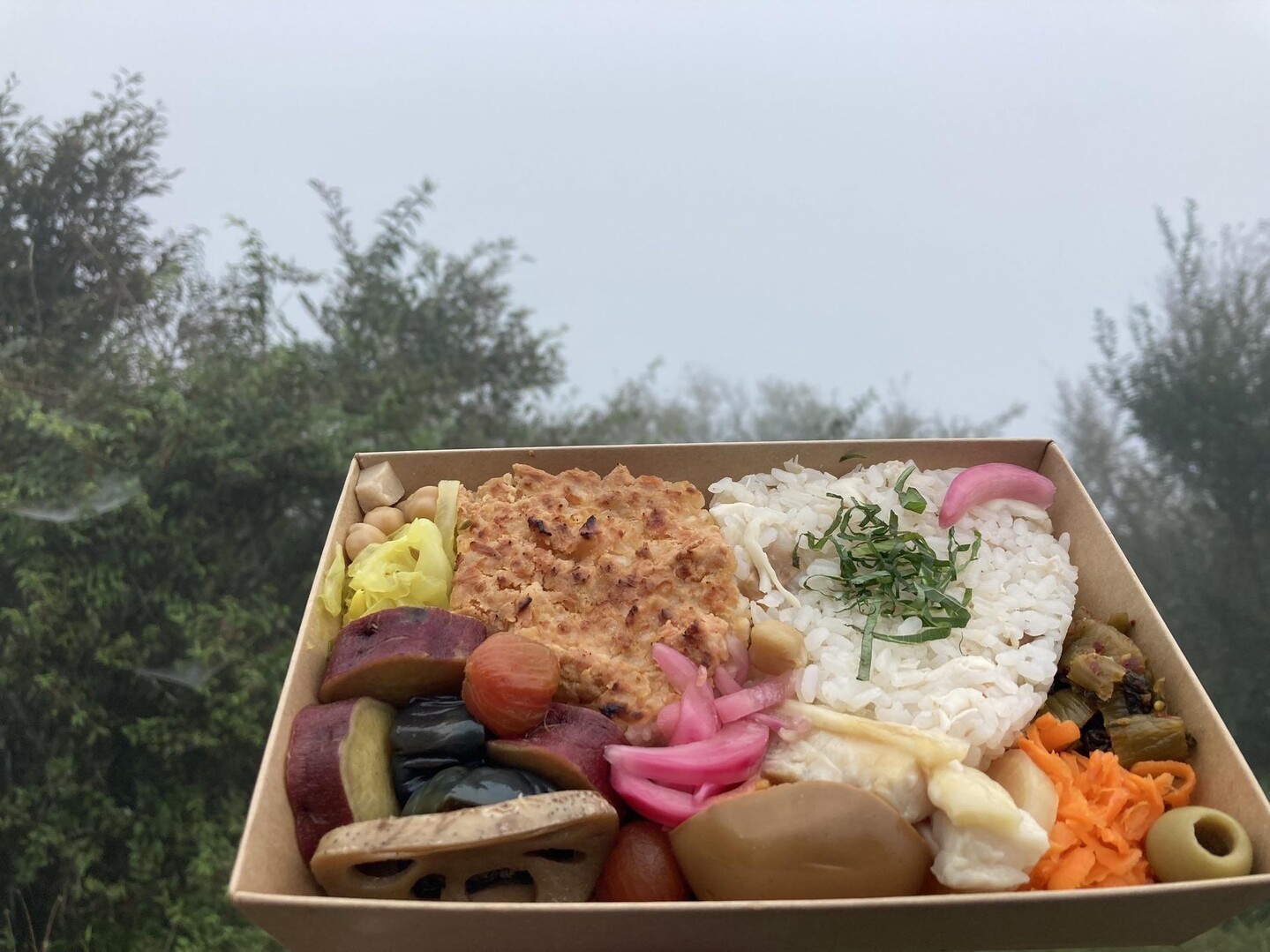 大山・春嶽山 / pineさんの大山の活動データ | YAMAP / ヤマップ