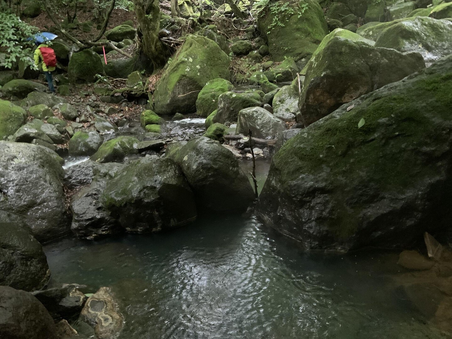 甘湯新湯♨️散歩☂️ / mini.TMKさんの高原山・釈迦ヶ岳・鶏頂山の活動データ | YAMAP / ヤマップ