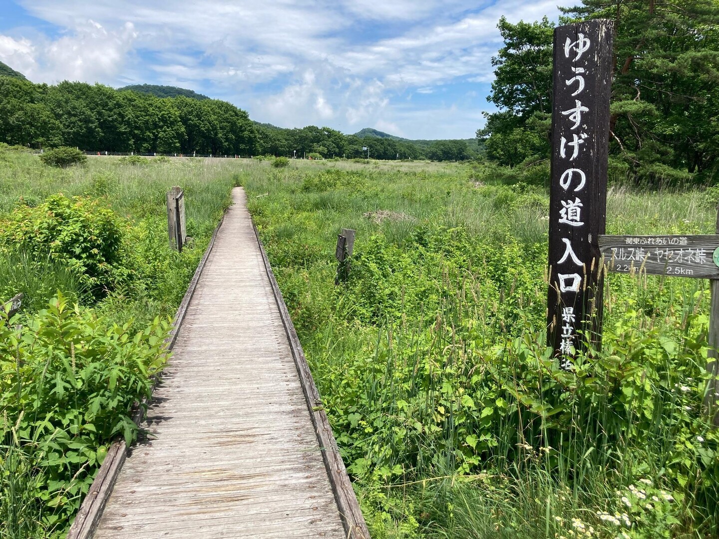 相馬山 / Georgeさんの榛名山・天狗山・天目山の活動データ | YAMAP / ヤマップ