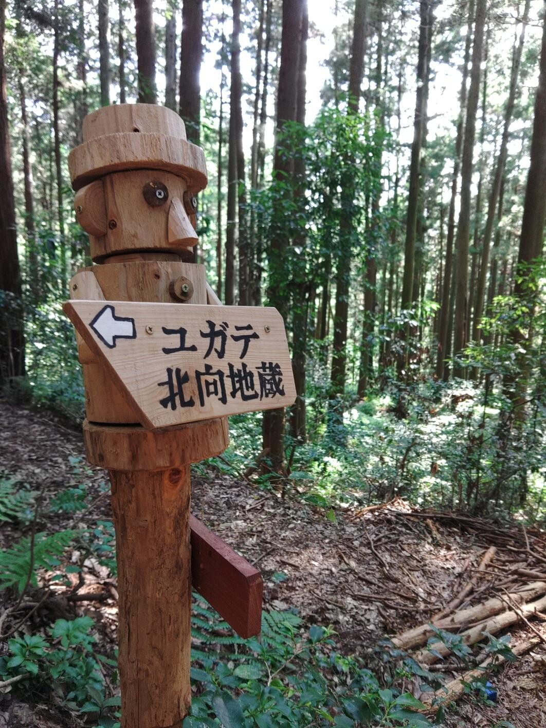 奥武蔵ロングトレイル35kに挑む（後編） / YOHEYさんの天覧山・多峯主山・天覚山の活動データ | YAMAP / ヤマップ