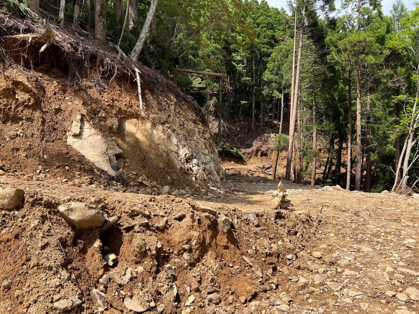 NALUさんの投稿したフィールドメモ | YAMAP / ヤマップ