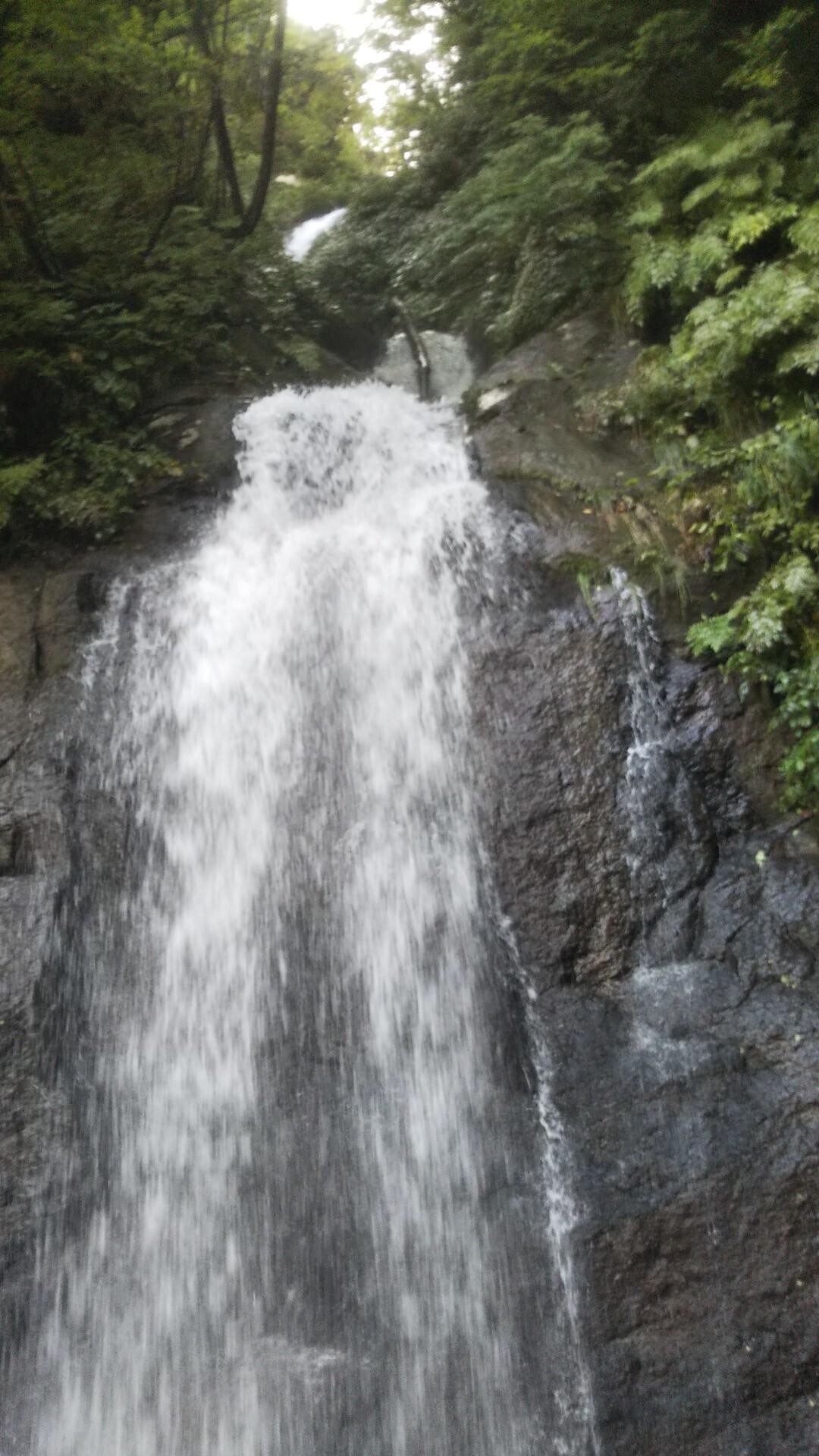 大辻山・高峰山・来拝山-2023-09-23 / daigo777さんの大辻山・高峰山・来拝山の活動データ | YAMAP / ヤマップ