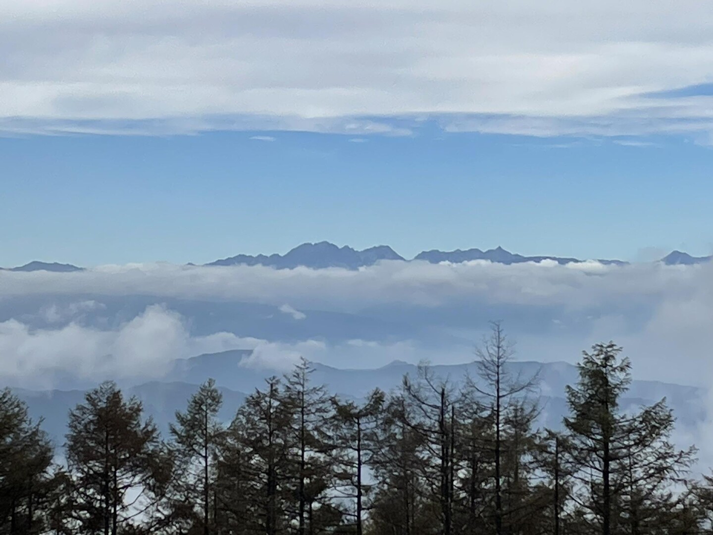 守屋山東峰・守屋山中嶽・守屋山・守屋山前嶽 / TUG さんの守屋山の活動データ | YAMAP / ヤマップ