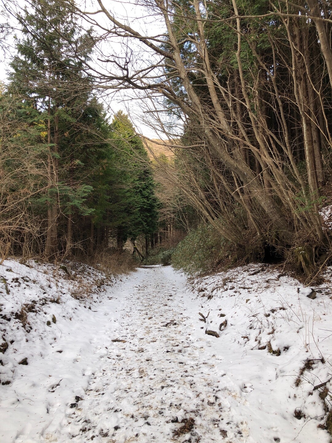 Twatchさんの投稿したフィールドメモ | YAMAP / ヤマップ