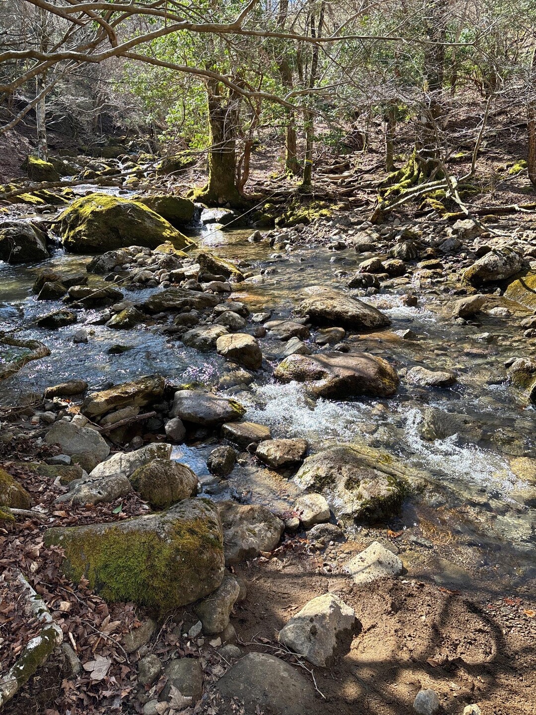 mskふぅさんの投稿したフィールドメモ | YAMAP / ヤマップ