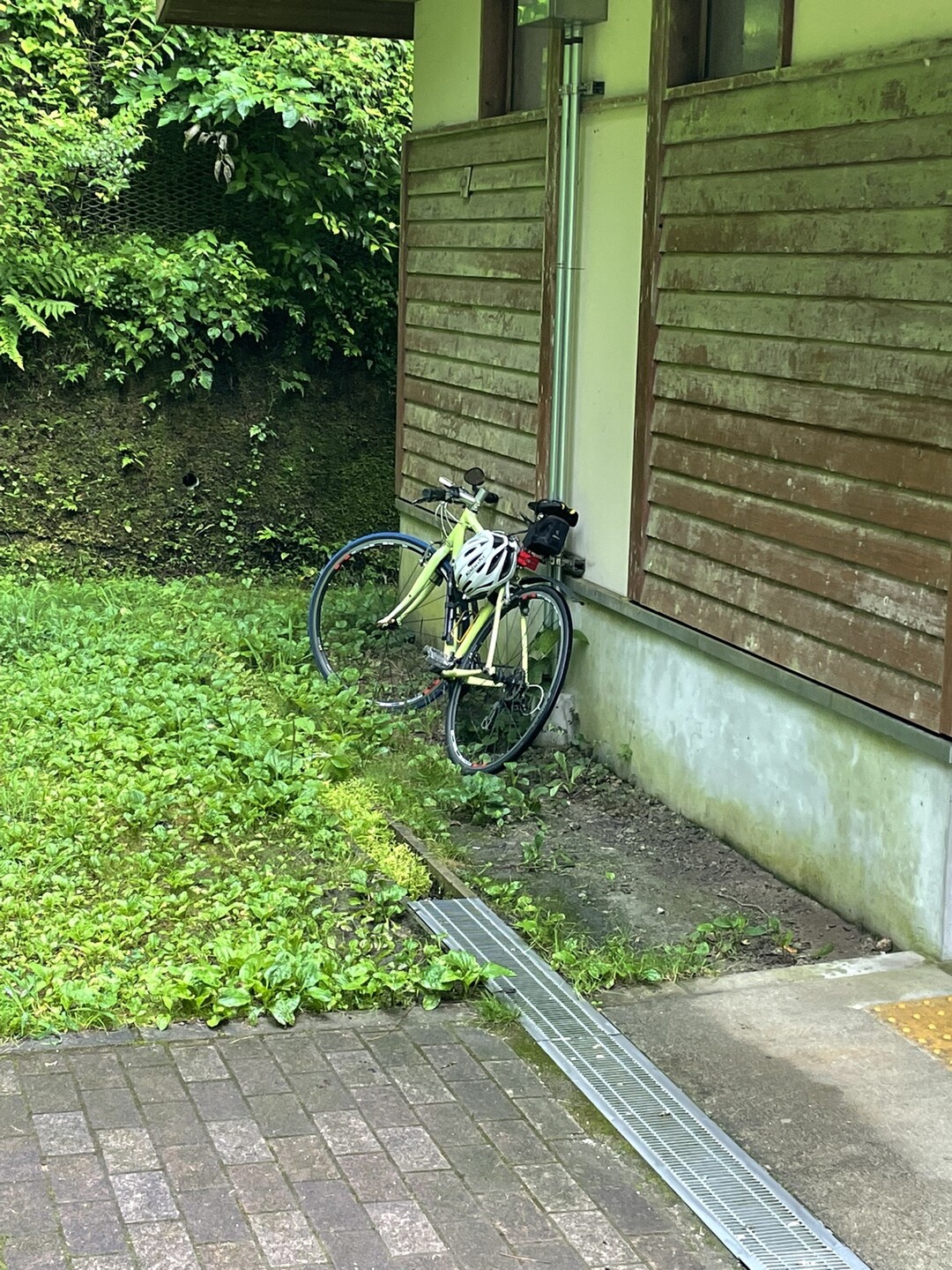 金剛山-寺谷⤴️寺谷ハード⤵️ / do-kichiさんの金剛山・二上山・大和葛城山の活動データ | YAMAP / ヤマップ