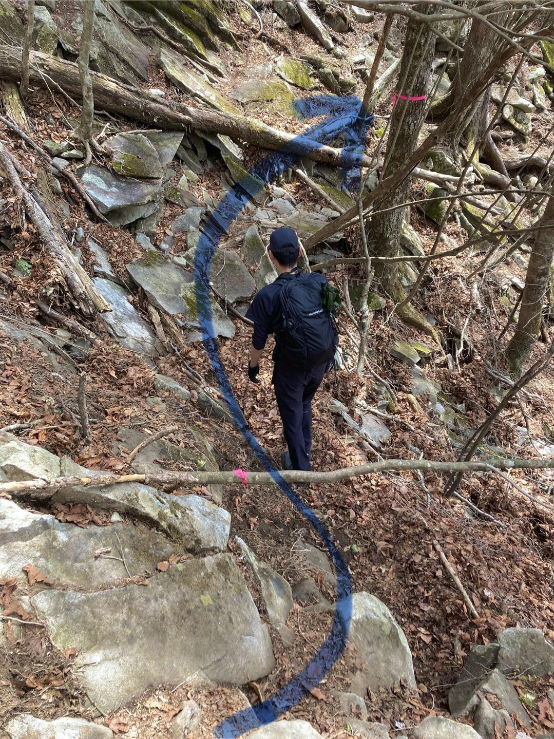 SAYAKAさんの投稿したフィールドメモ | YAMAP / ヤマップ