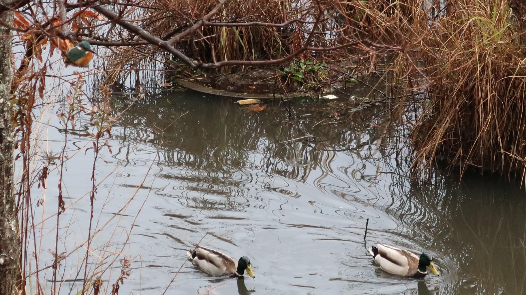 2025.01.28(火) 10:29 / あおまめさんのモーメント | YAMAP / ヤマップ