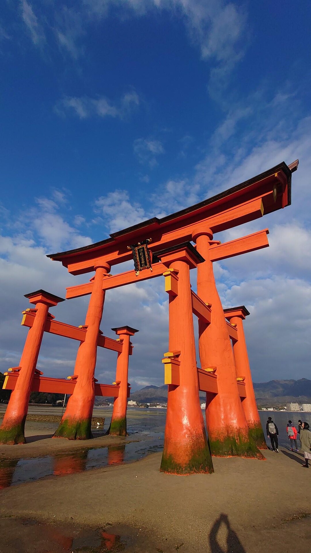 要害山・前峠山・三剣山・駒ヶ林 / fujimino sadaさんの宮島（厳島）・弥山の活動データ | YAMAP / ヤマップ