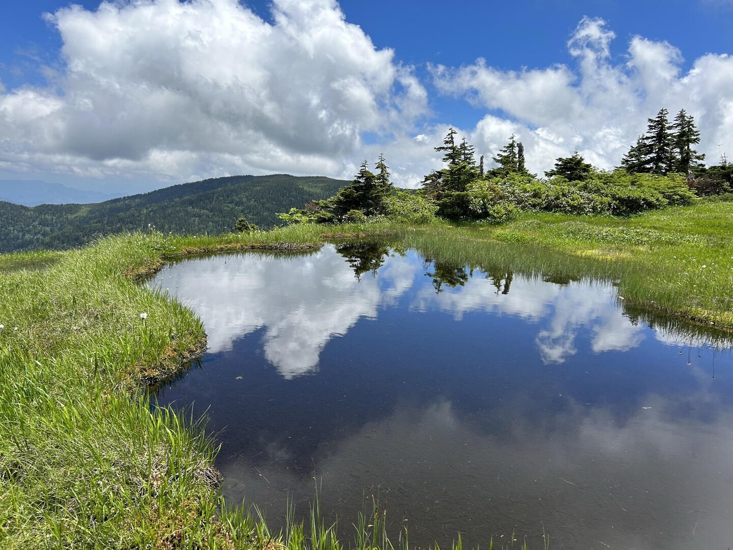 2023-07-17 会津駒ヶ岳 / nakkoさんの登山の活動データ | YAMAP / ヤマップ