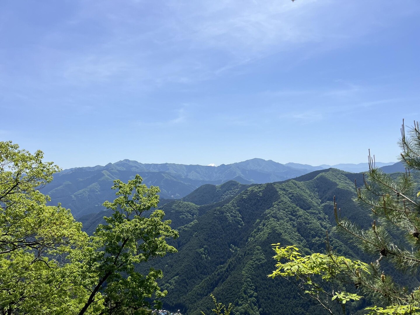 棒ノ嶺（棒ノ折山）からの高水二山w通って軍畑へ / katsu-uさんの棒ノ折山（棒ノ嶺）の活動データ | YAMAP / ヤマップ