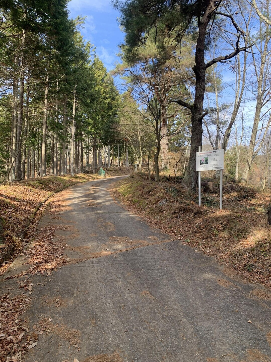笠松山 / Ashさんの高鳥屋山・梨子野山・笠松山の活動データ | YAMAP / ヤマップ