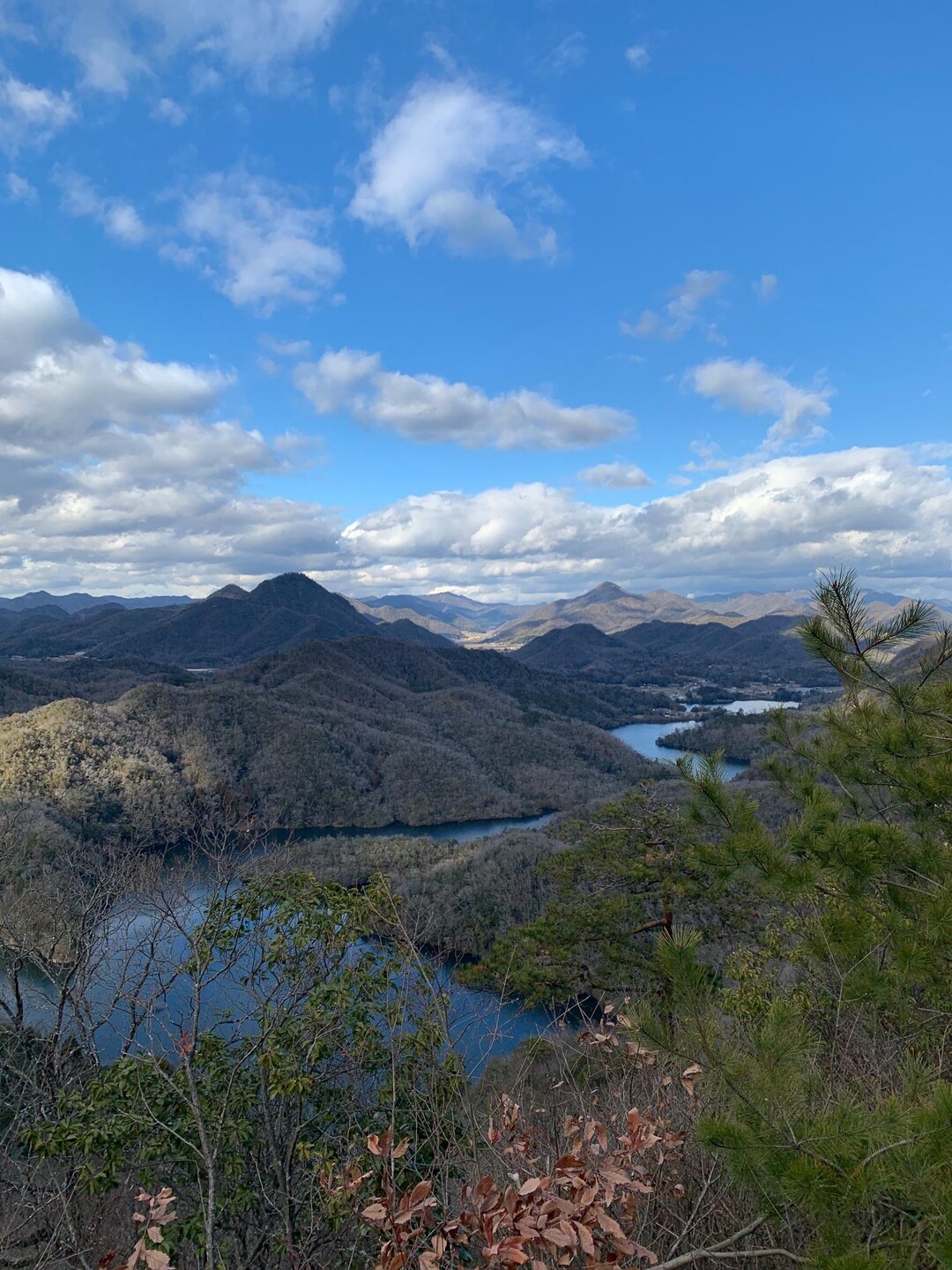 登り初めは東大岩岳・大岩岳 / ORIEさんの大岩岳の活動データ | YAMAP / ヤマップ