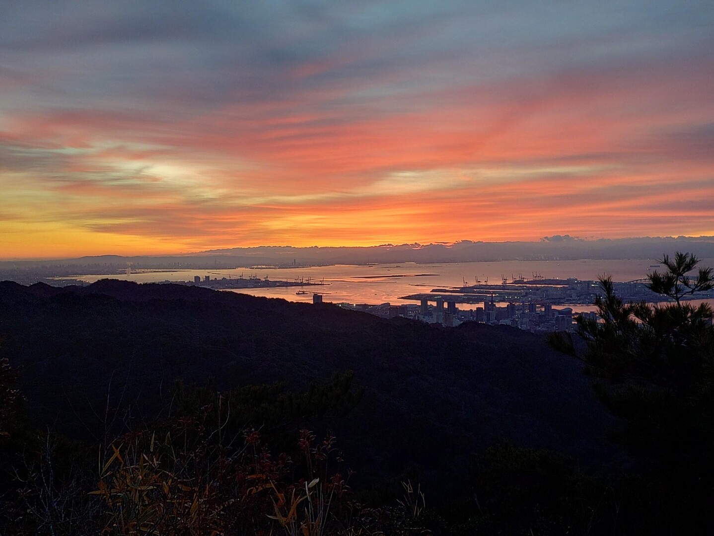 帰省中ランニング② / YOHEYさんの六甲山・長峰山・摩耶山の活動データ | YAMAP / ヤマップ