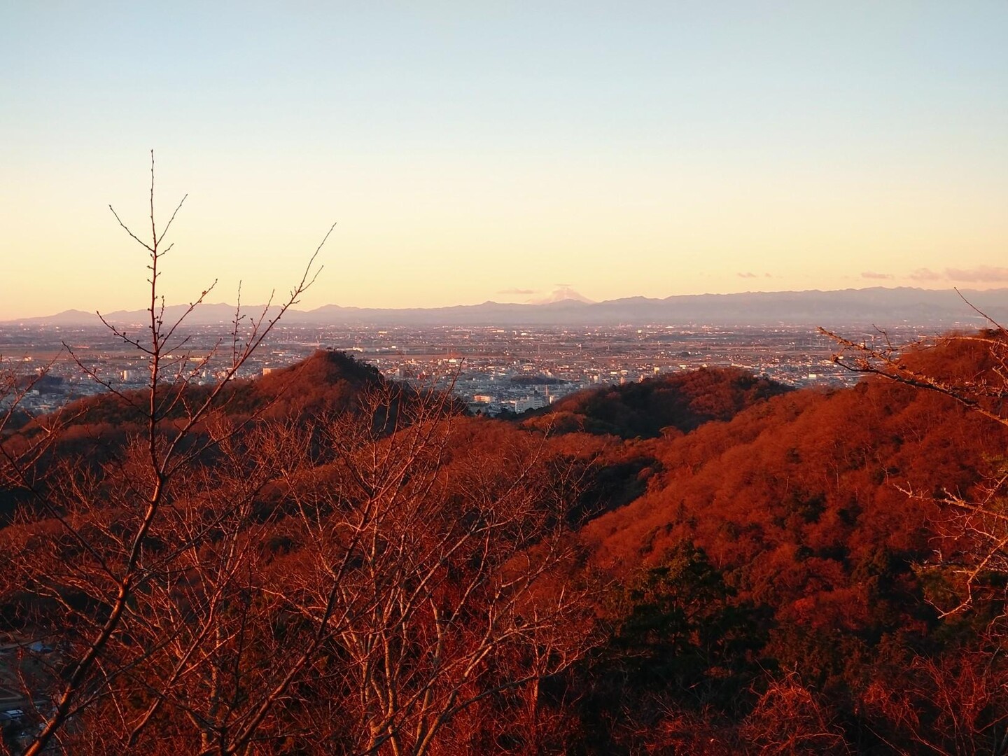 唐沢山 / USSAさんの太平山・晃石山・唐沢山の活動データ | YAMAP / ヤマップ