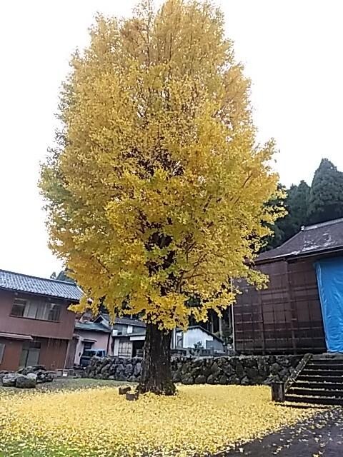 秋 深まる。 山あいの中の温泉に行く途... / opal糸さんのモーメント | YAMAP / ヤマップ