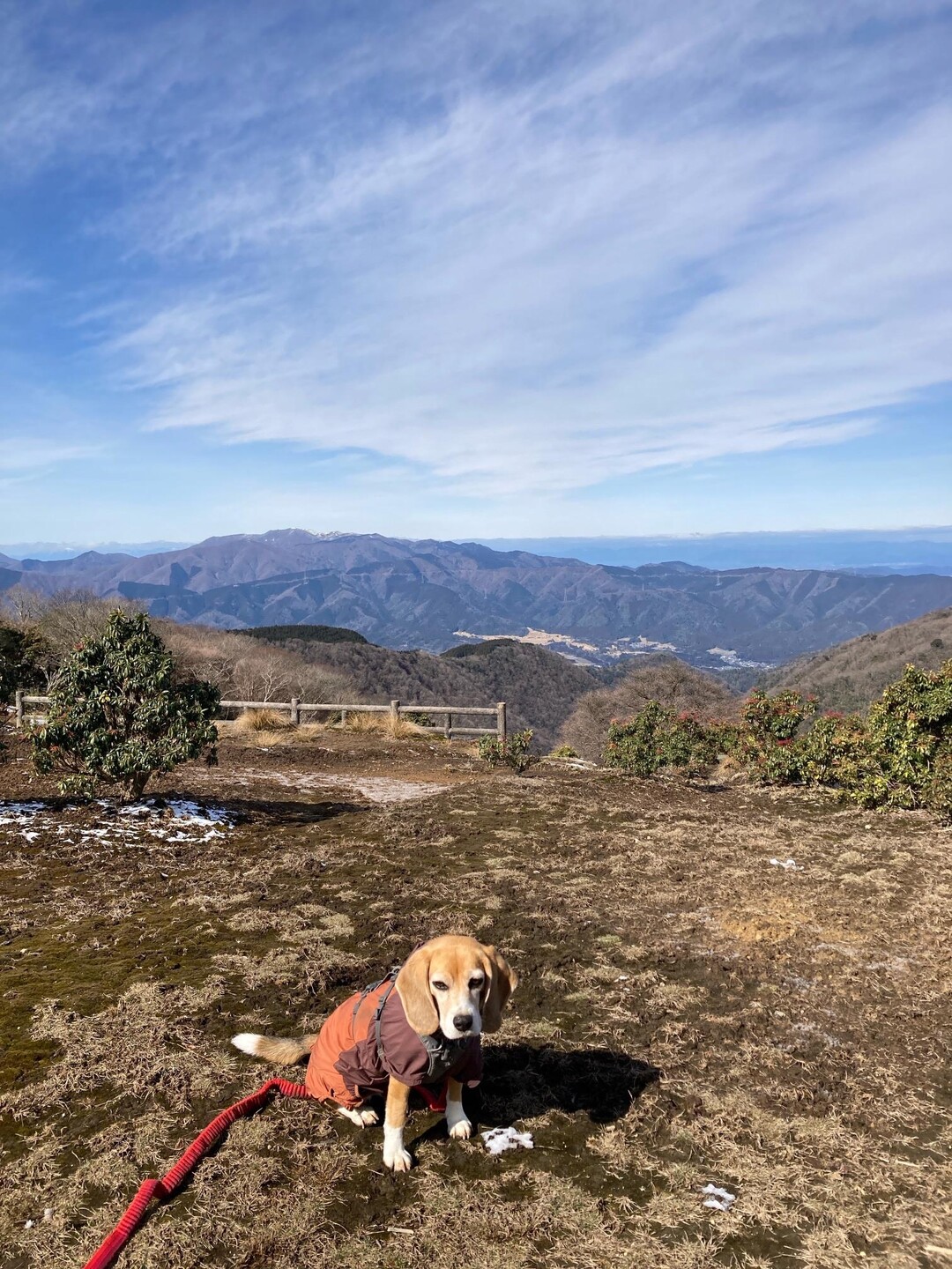 三方山・小倉山・養老山 / 山旅犬🐶ロマチッチ lomachicciさんの養老山・笙ヶ岳・三方山の活動データ | YAMAP / ヤマップ