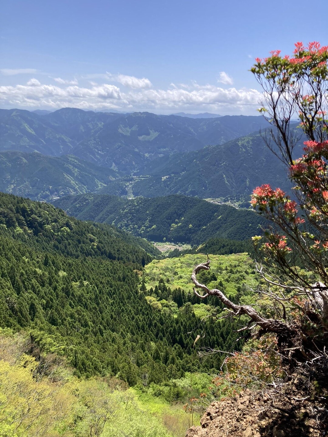 上勝町 山犬獄・西峰 / Cubさんの山犬嶽の活動データ | YAMAP / ヤマップ