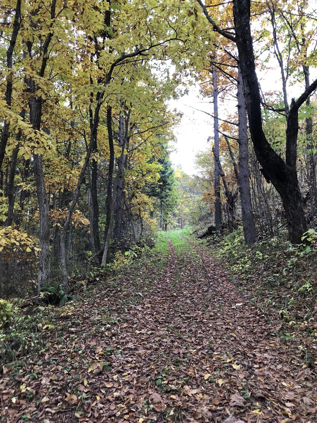 将軍山 / TGマッチョさんの当麻山・将軍山の活動データ | YAMAP / ヤマップ