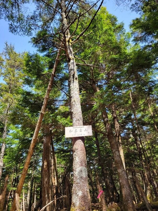 和名倉山（白石山） / yasu konさんの和名倉山・笠取山・東仙波の活動データ | YAMAP / ヤマップ