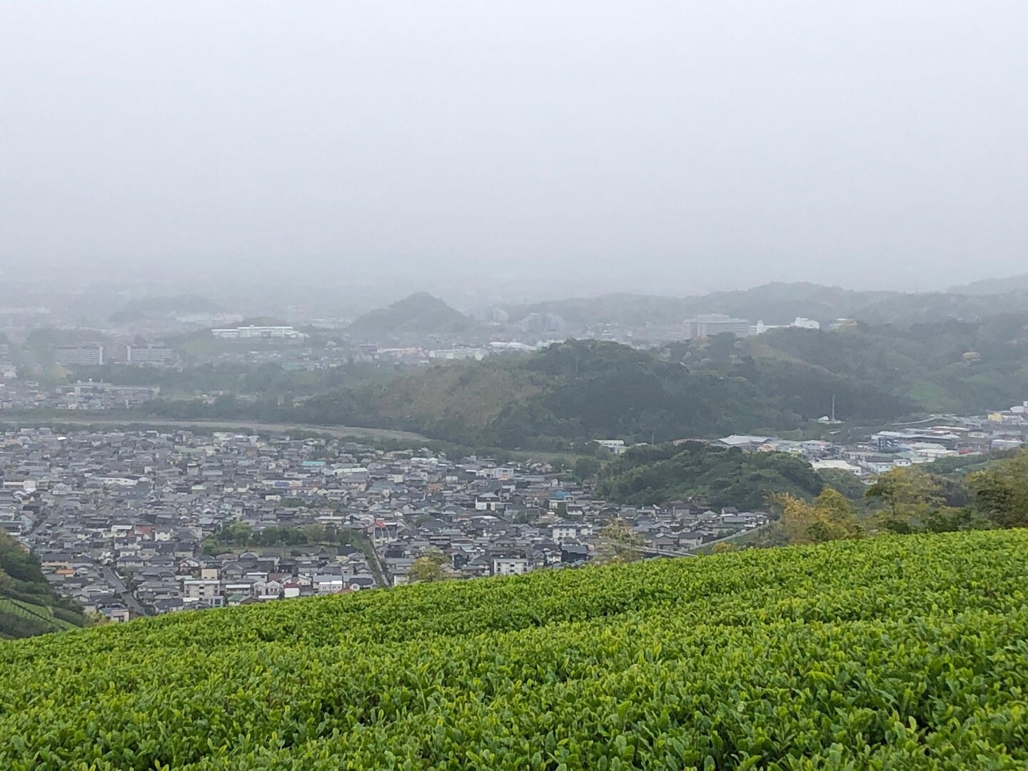 気ままに俺はいく(藤枝編) / あきTRさんの烏帽子形山の活動データ | YAMAP / ヤマップ