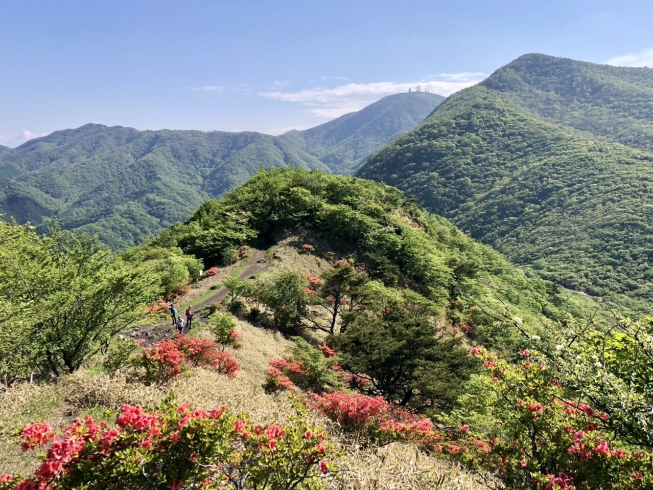 ツツジの名所、荒山高原から鍋割山 / YaMaPeeさんの赤城山・黒檜山・荒山の活動データ | YAMAP / ヤマップ