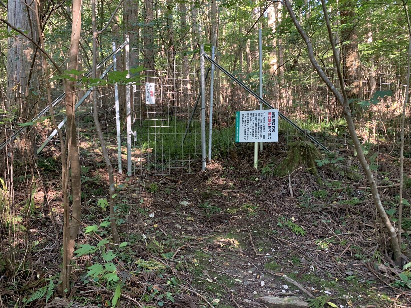 笹ヶ峰・寒風山・平家平-2020-09-19 / eiji_taさんの笹ヶ峰・寒風山・平家平の活動データ | YAMAP / ヤマップ