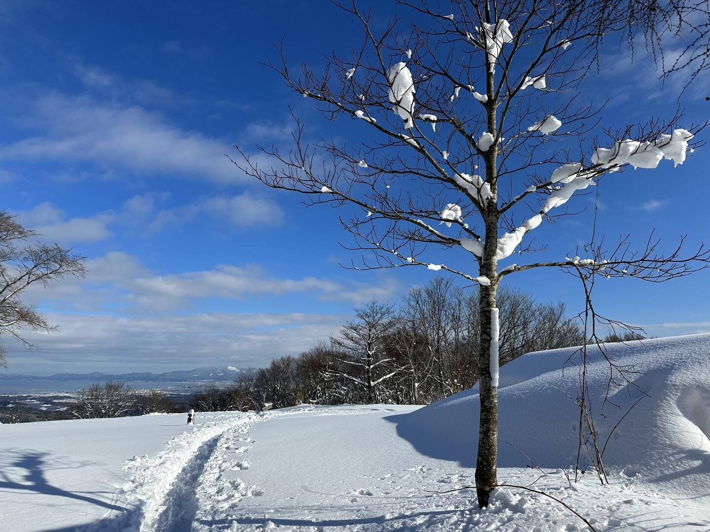 梵珠山 / minaさんの梵珠山の活動データ | YAMAP / ヤマップ