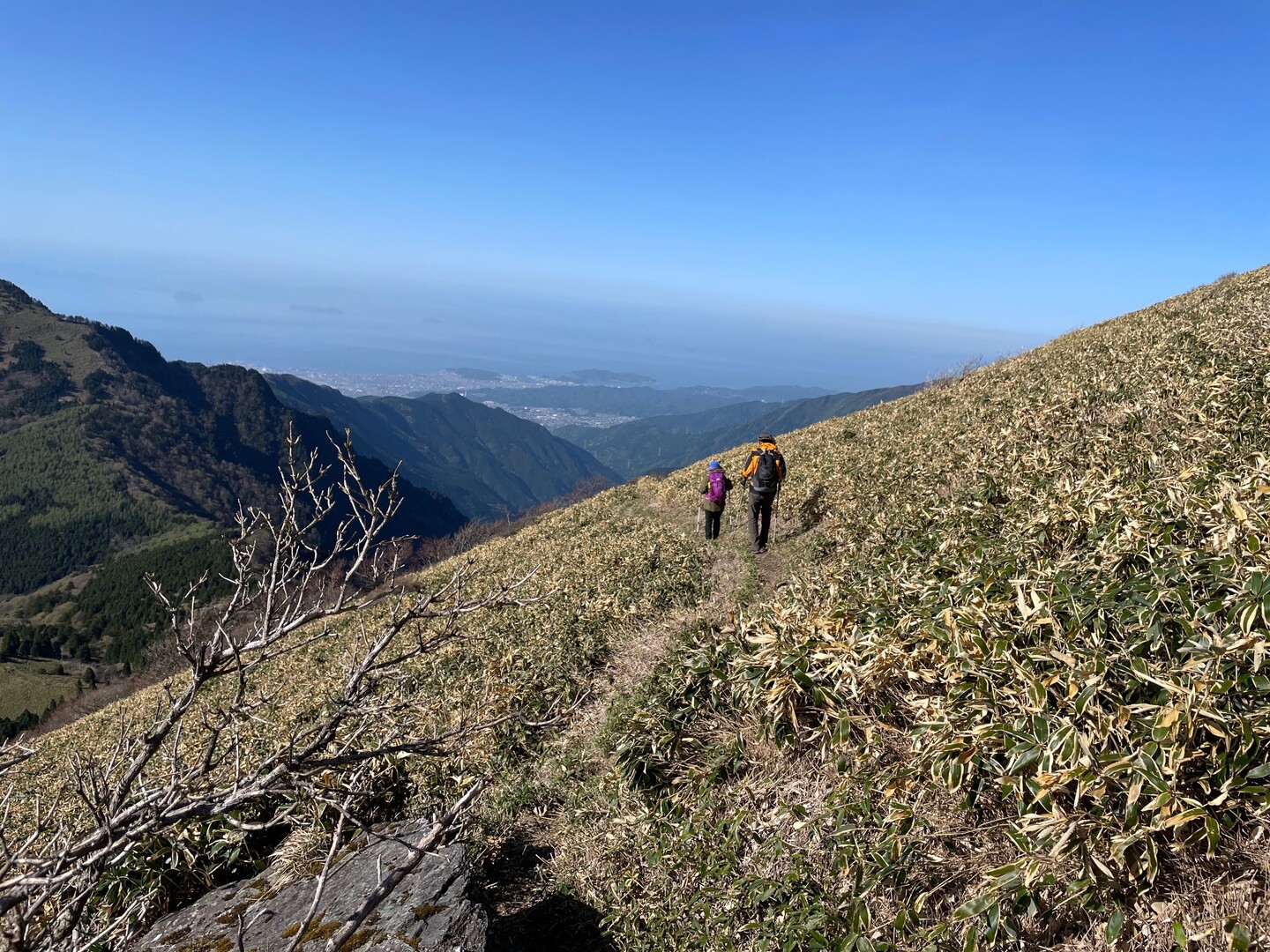 【四国遠征2座目】笹ヶ峰 / M K1218さんの笹ヶ峰・寒風山・平家平の活動データ | YAMAP / ヤマップ