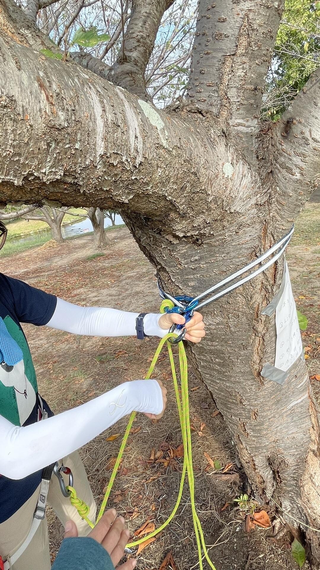 今日もロープワーク 2024.10.2 ... / riwonさんのモーメント | YAMAP / ヤマップ