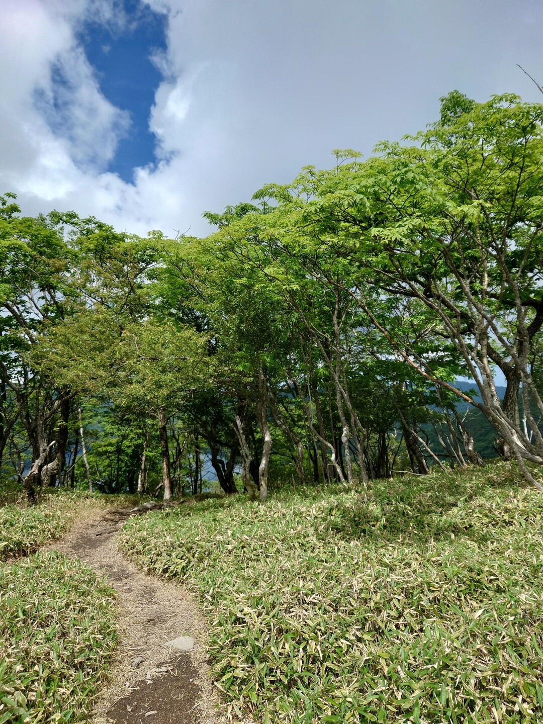 黒檜山・駒ヶ岳 / ko1さんの赤城山・黒檜山・荒山の活動データ | YAMAP / ヤマップ