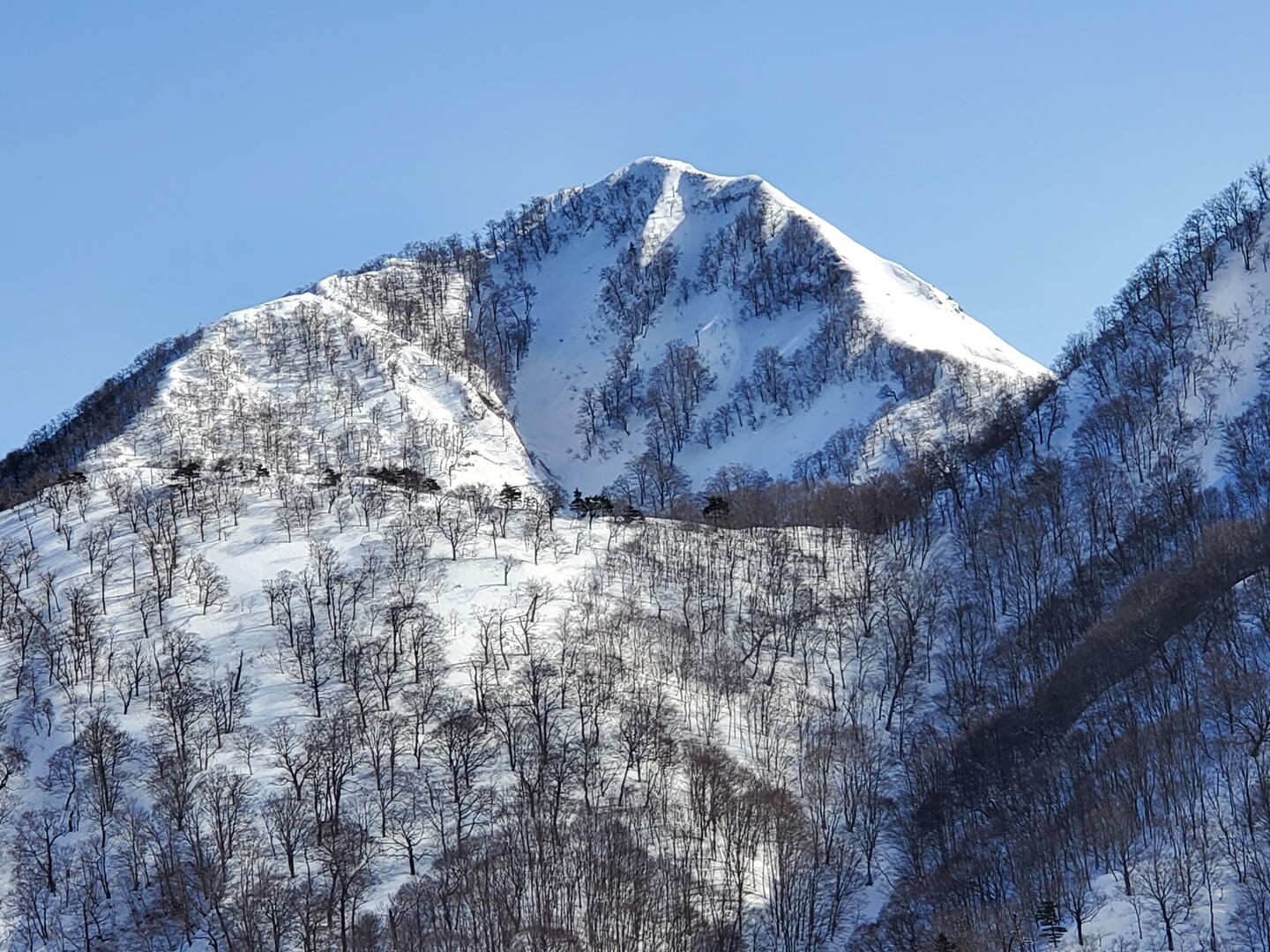 光兎山敗退 2021-02-13 / sakaさんの光兎山・奥山（虚空蔵峰）の活動データ | YAMAP / ヤマップ