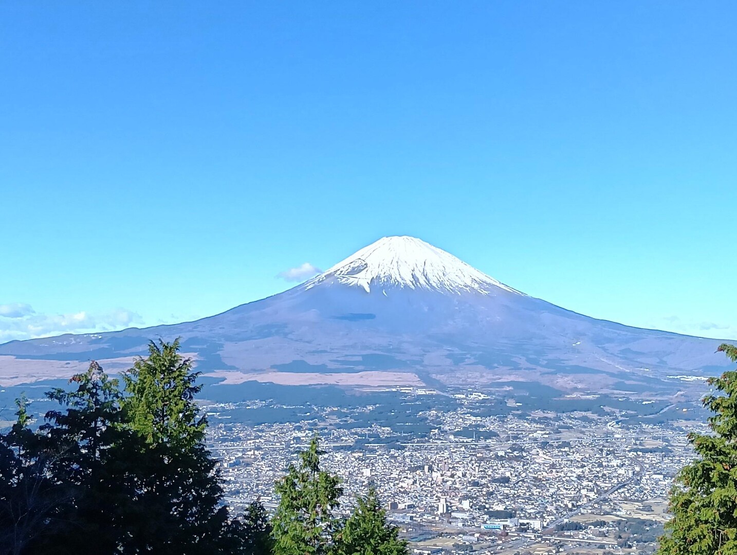 金時山・長尾山 / うめ吉さんの金時山・明神ヶ岳の活動データ | YAMAP / ヤマップ