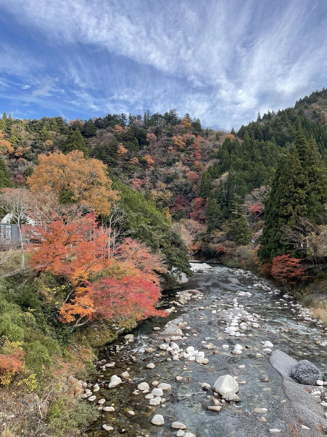 衣掛山・日本コバ・衣掛山最高点 / minorunさんの日本コバの活動データ | YAMAP / ヤマップ