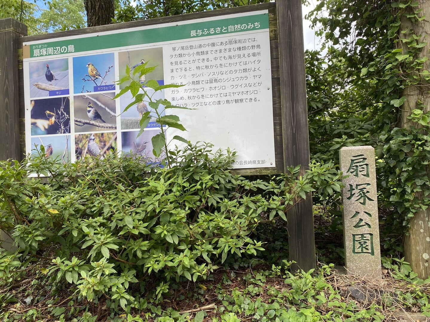 今日は 末っ娘と 地元長崎に帰り お墓掃... / tonyさんのモーメント | YAMAP / ヤマップ