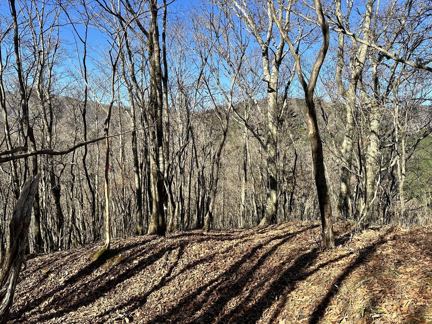 keijuさんの投稿したフィールドメモ | YAMAP / ヤマップ