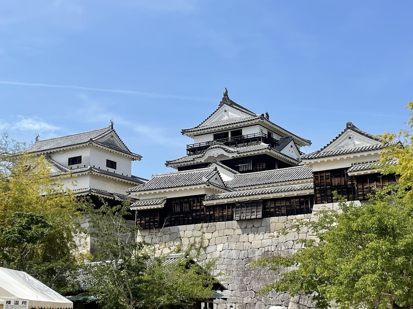勝山 松山城 / PRO(むーさん)さんの松山市（南エリア）の活動データ | YAMAP / ヤマップ