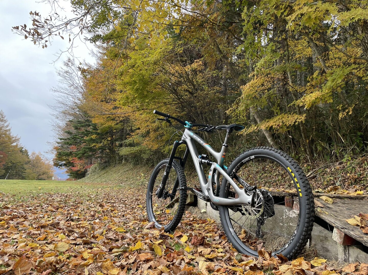 今日は登山⛰ではなくMTB シーズンラス... / KM53さんのモーメント | YAMAP / ヤマップ