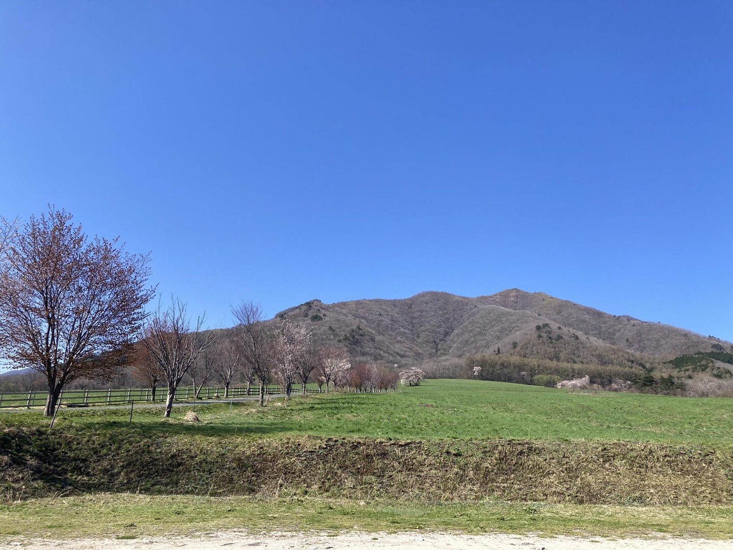 槍ヶ峰・上蒜山 / fumiconさんの蒜山の活動データ | YAMAP / ヤマップ