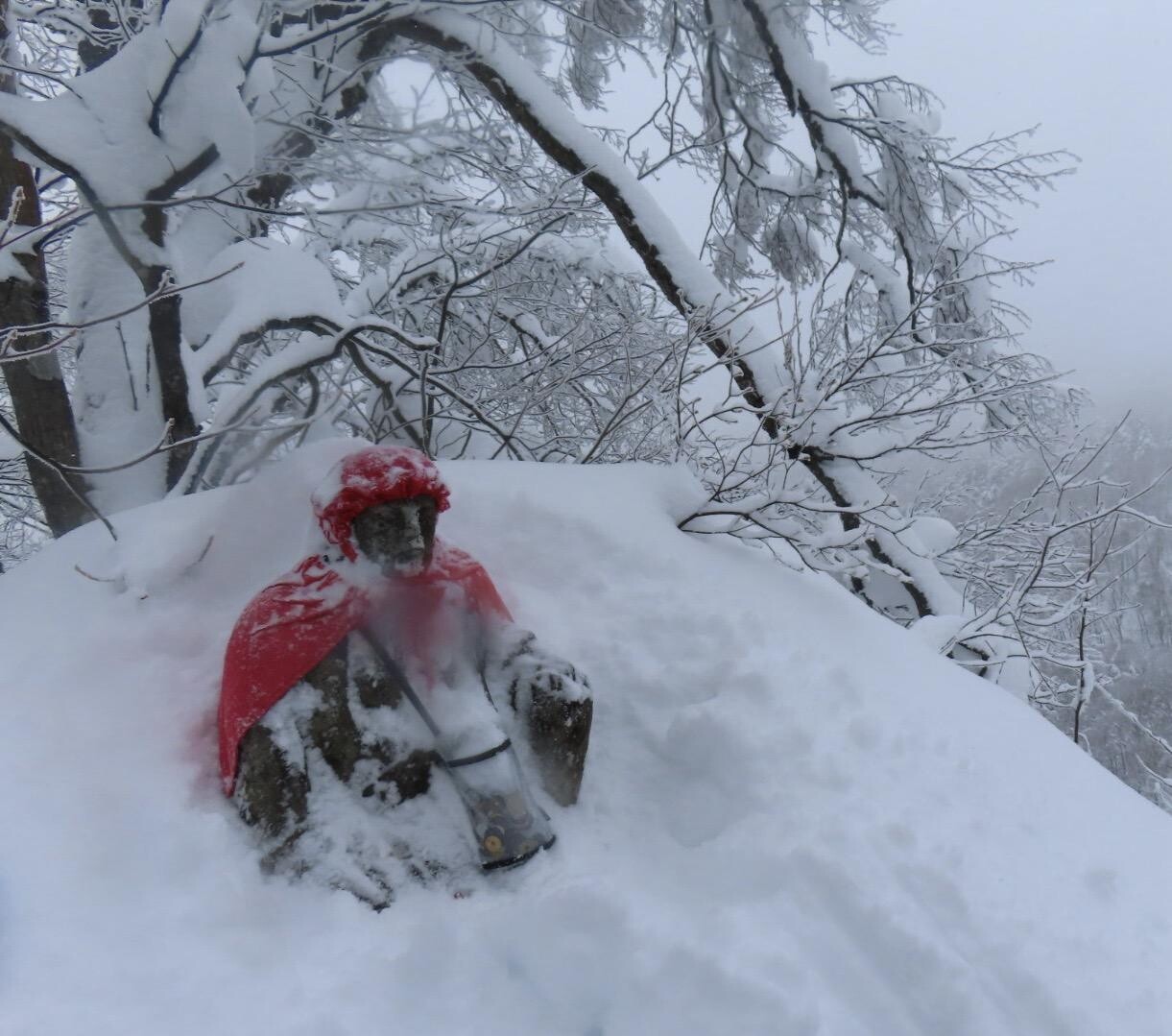 雪山始めはやっぱりいつもの瀧山（1362m）だべなの巻 ️ / パクチーさんの蔵王山・雁戸山・不忘山の活動日記 | YAMAP / ヤマップ