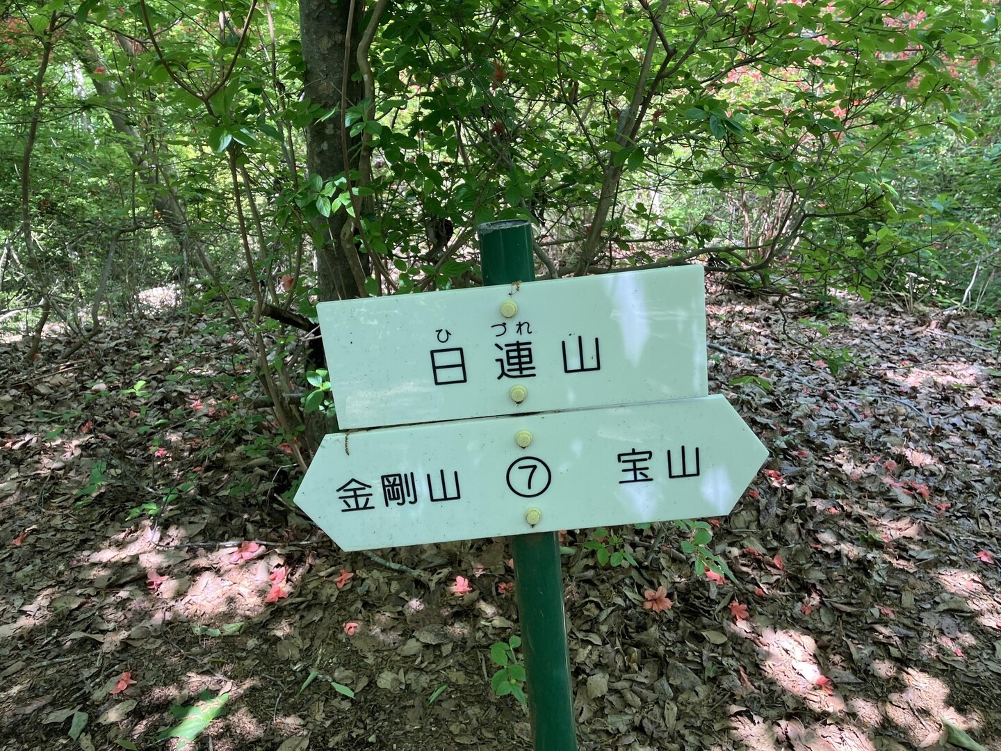 宝山・日連山・峰（峰山）・日連金剛山 / Shineさんの名倉金剛山・鶴島金剛山の活動日記 | YAMAP / ヤマップ