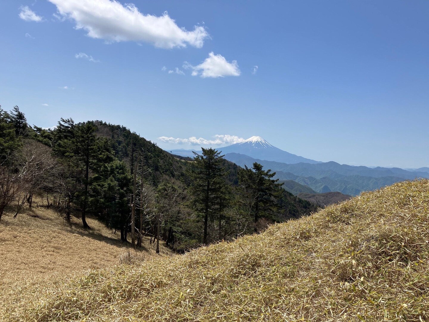 しのっちさんの投稿したフィールドメモ | YAMAP / ヤマップ