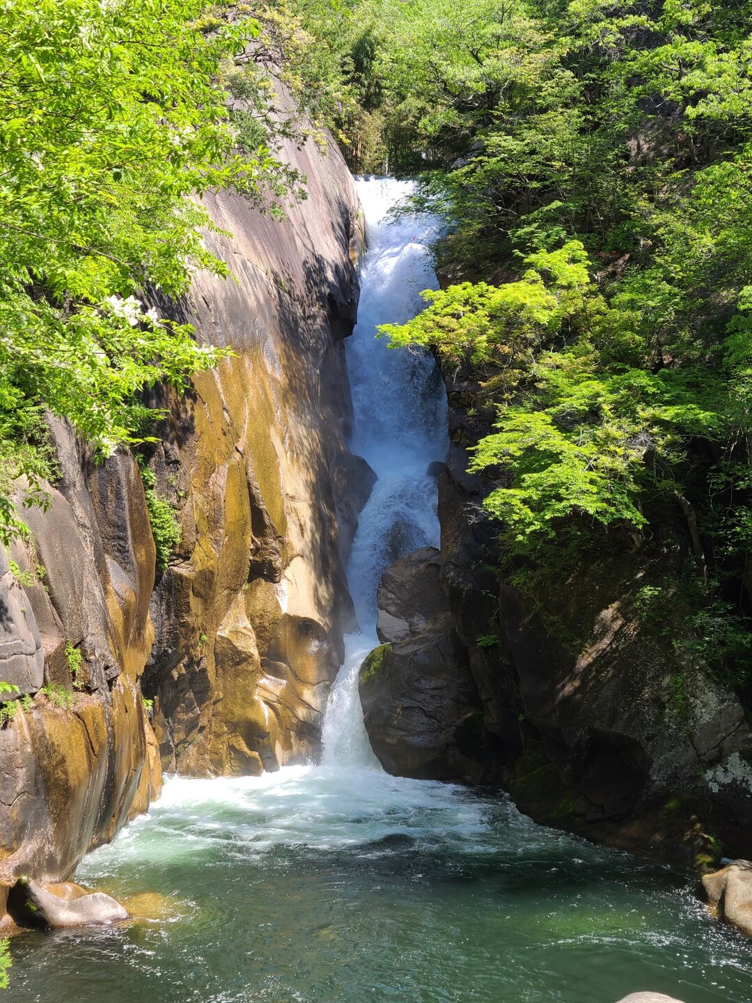覚円峯 / Danさんの弥三郎岳（羅漢寺山）の活動データ | YAMAP / ヤマップ