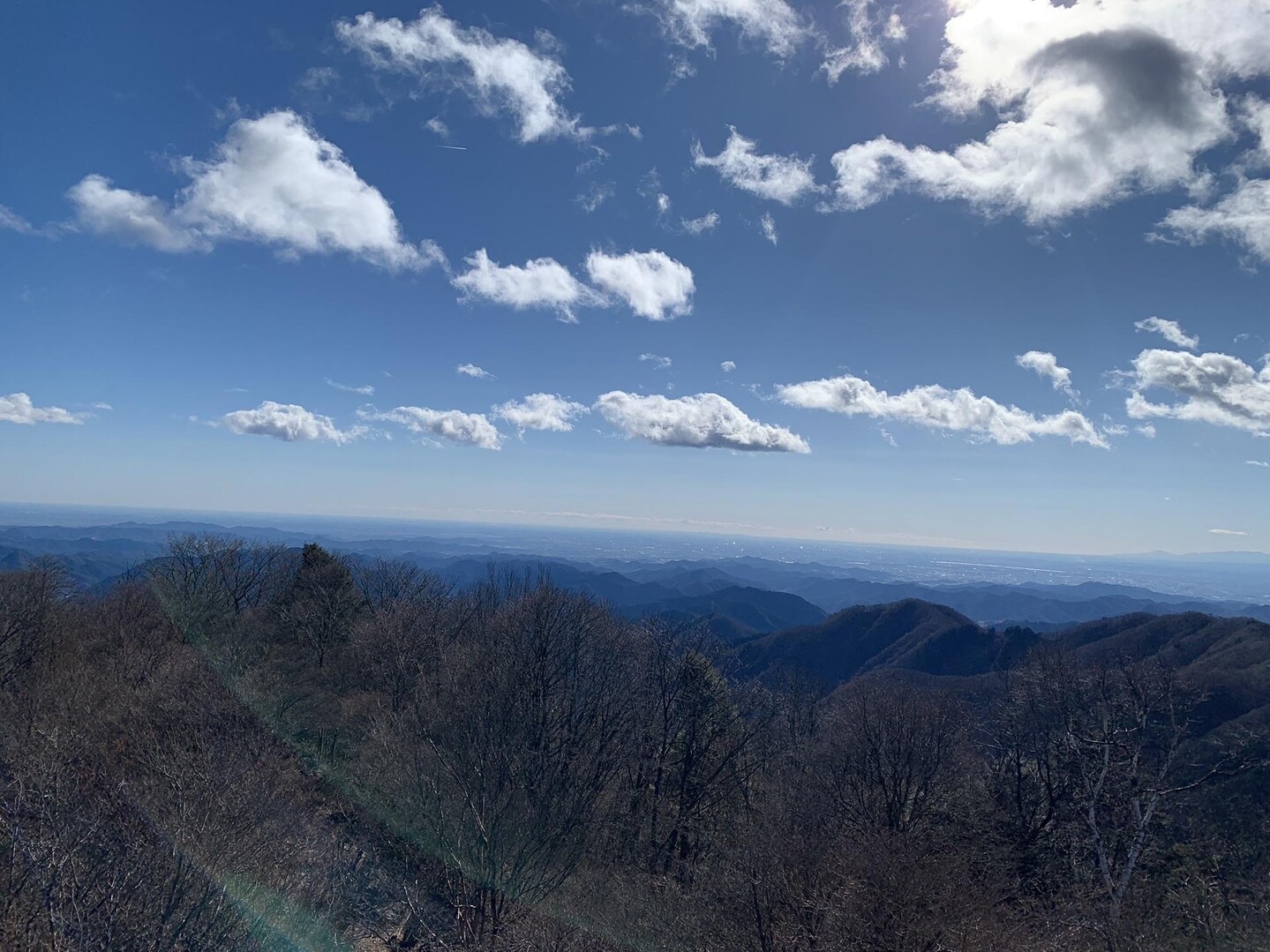根本山・十二山・熊鷹山 / Tomoko♡さんの根本山・熊鷹山・氷室山の活動日記 | YAMAP / ヤマップ