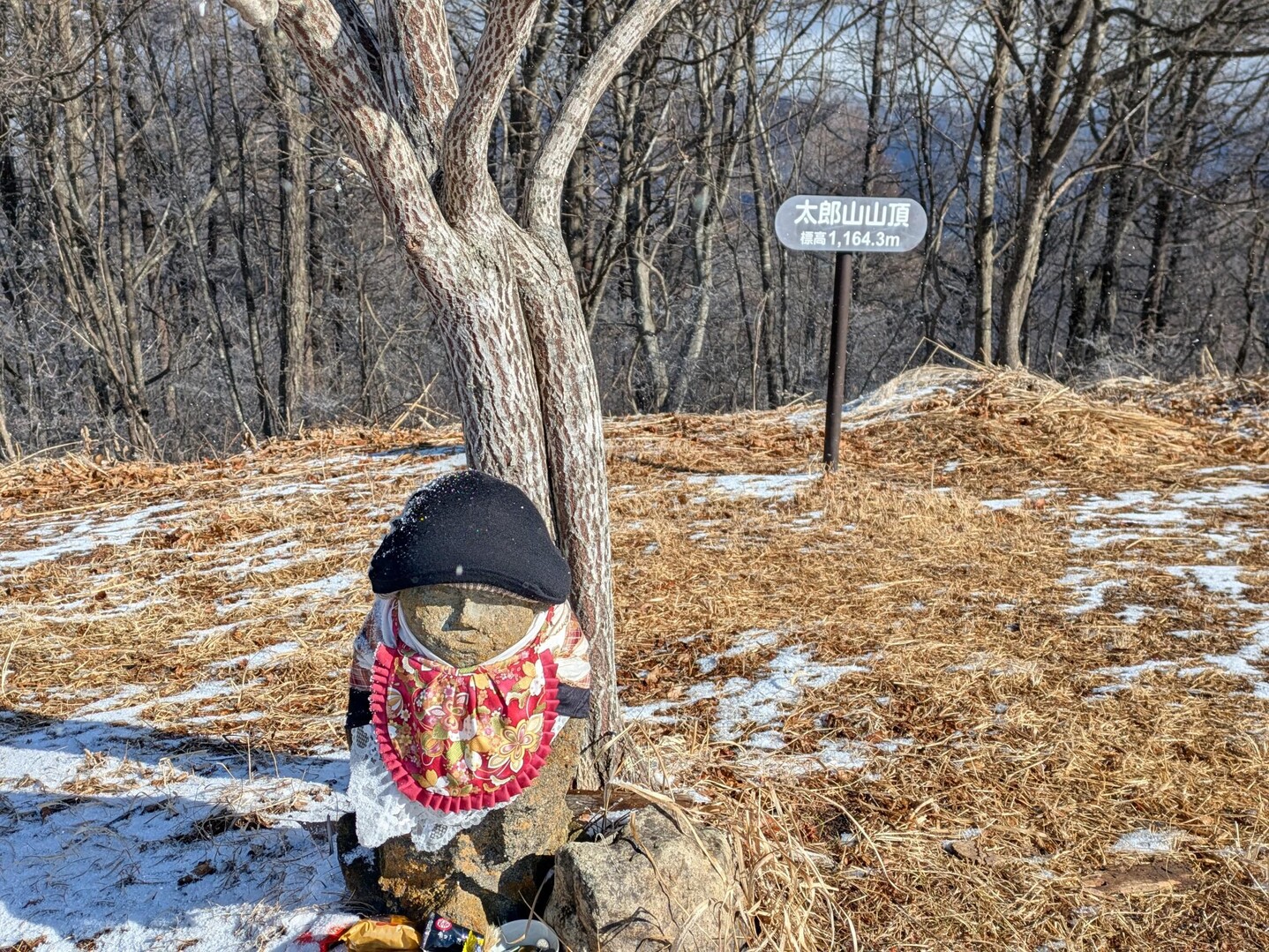 太郎山表参道【今年1回目】 / 歩ん婆（ayunba）さんの太郎山の活動データ | YAMAP / ヤマップ