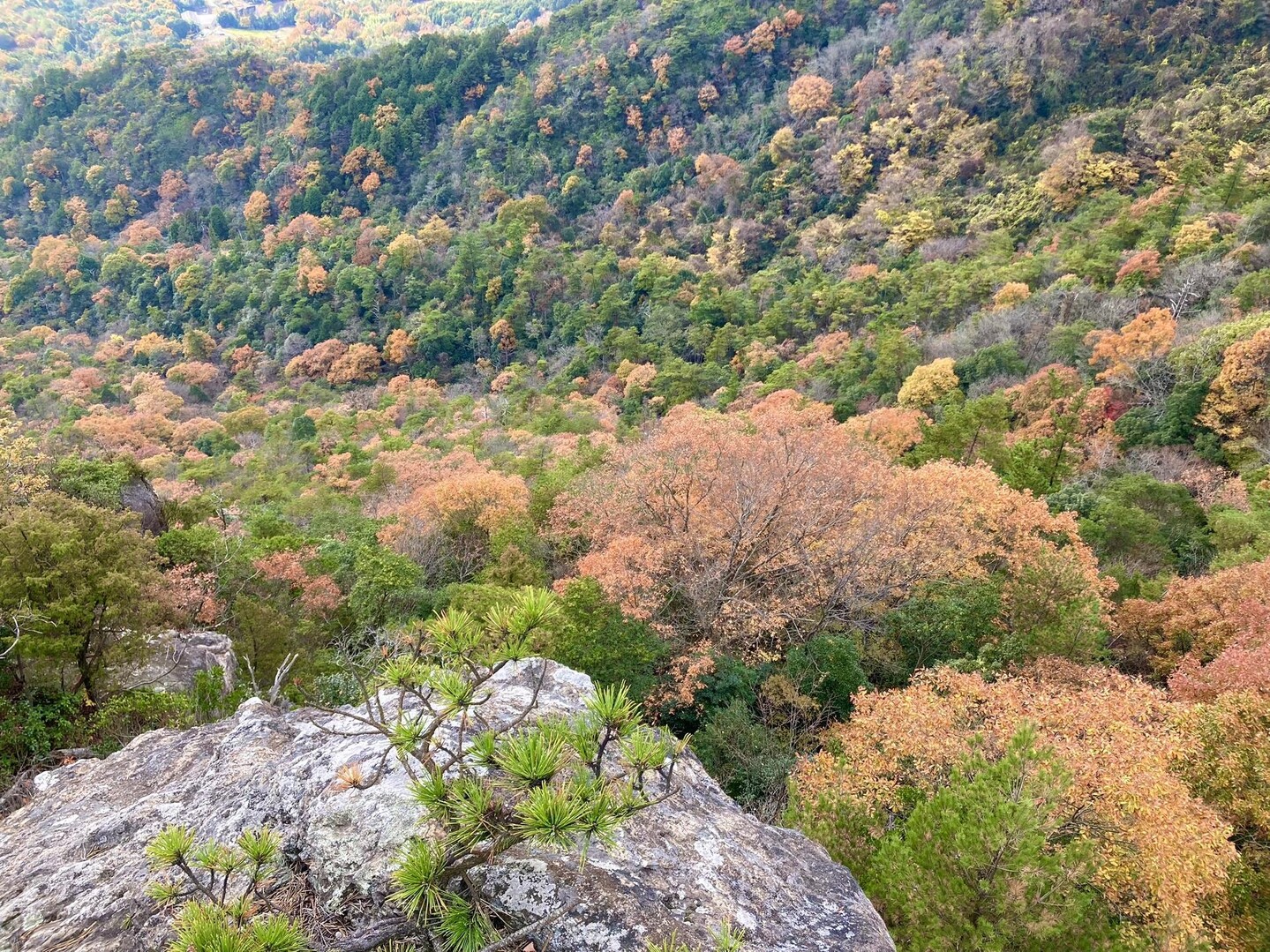今週はトレーニングの小田山 / カブさん(CUB主)さんの小田山の活動データ | YAMAP / ヤマップ