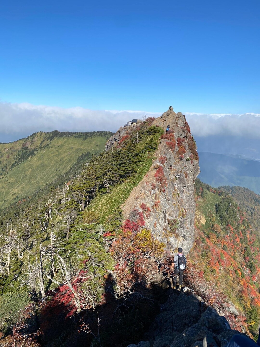 紅葉の石鎚山🍁🍁東稜基部から南尖峰、天狗岳、弥山へ / red-pさんの石鎚山・堂ヶ森・二ノ森の活動データ | YAMAP / ヤマップ